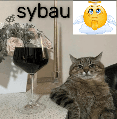 Understanding SYBAU - Meaning, Origin, and Usage