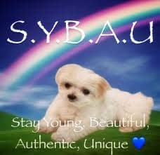 Understanding SYBAU - Meaning, Origin, and Usage