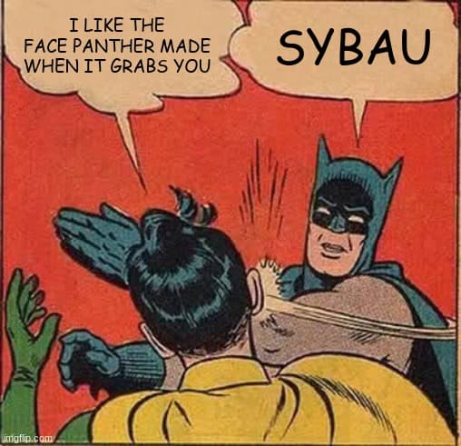 Understanding SYBAU - Meaning, Origin, and Usage